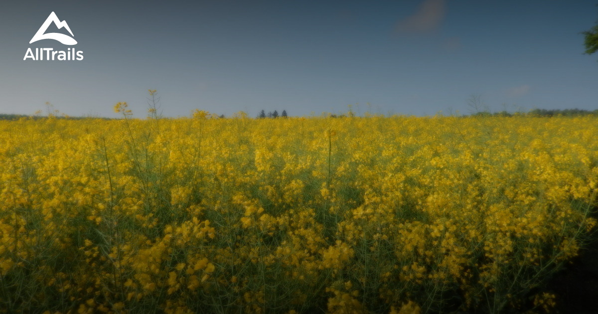 Best hard trails in Wassenberg | AllTrails