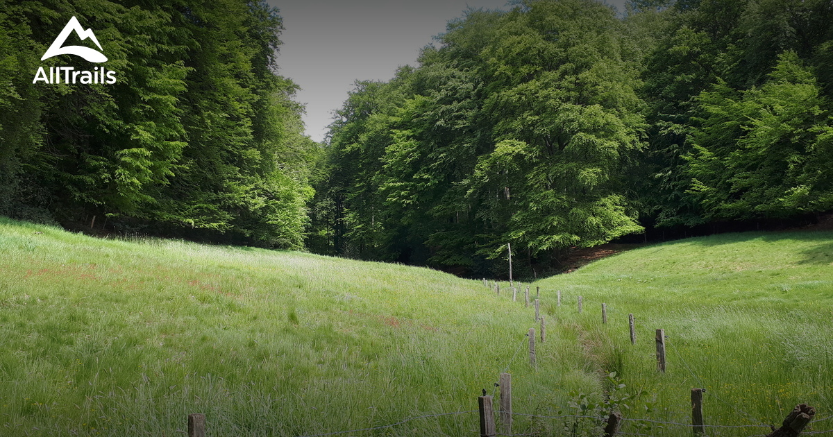 10 Best trails and hikes in Wermelskirchen | AllTrails