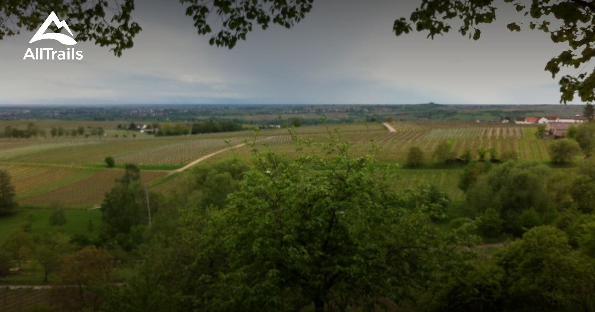 Albersweiler: Die schönsten Routen zum Wandern | AllTrails