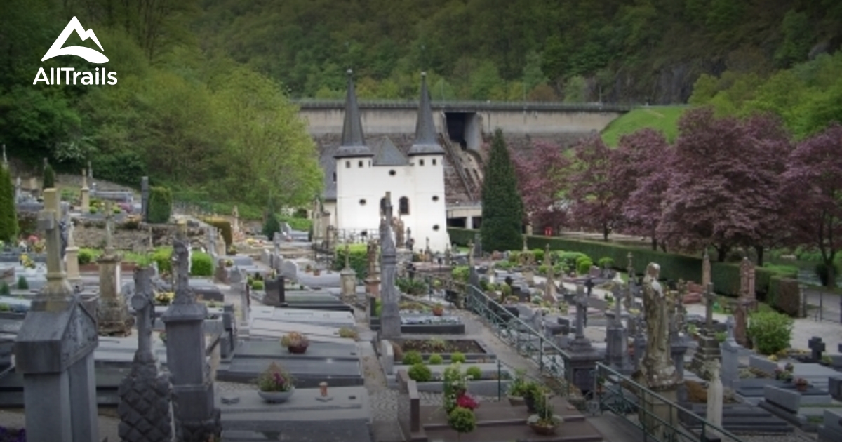 Best trails in Alf, Rhineland-Palatinate | AllTrails