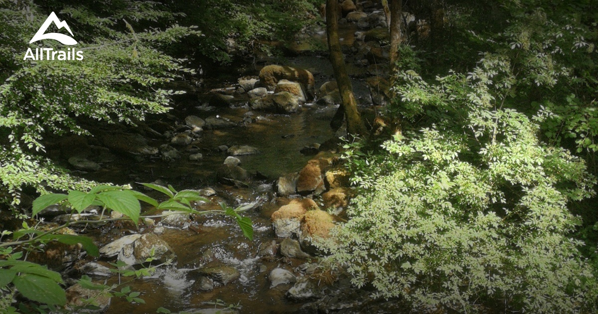 Best Hikes and Trails in Alf | AllTrails