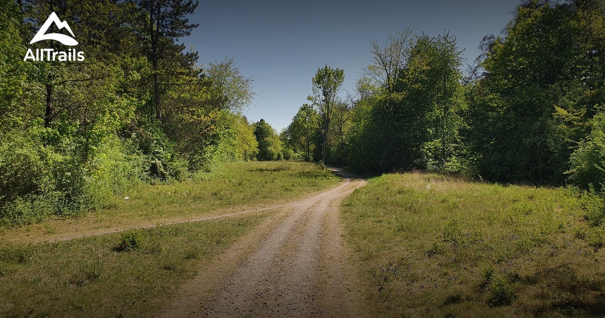 2023 Best Lake Trails in Altrip | AllTrails