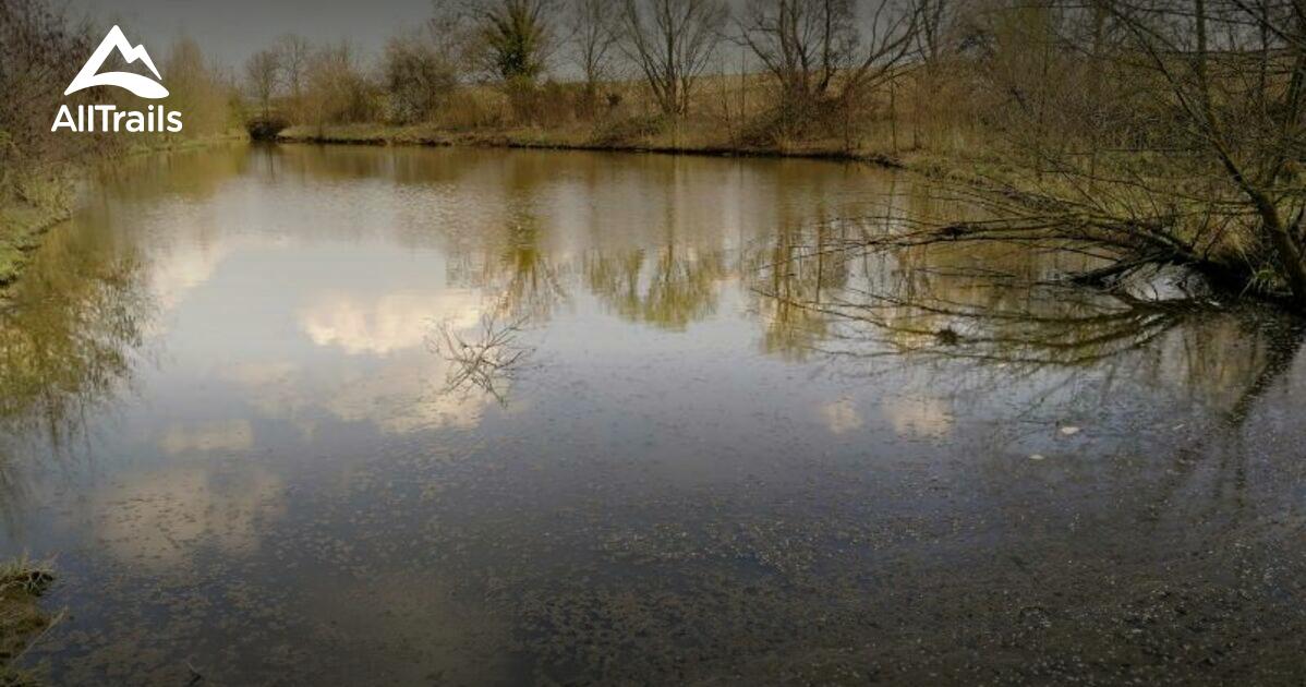 Best 10 River Trails in Alzey | AllTrails