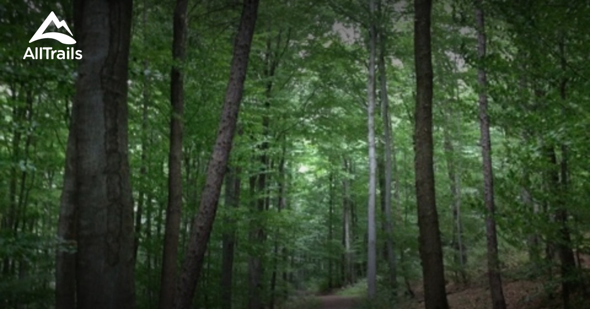 Best Moderate Trails in Bad Ems | AllTrails