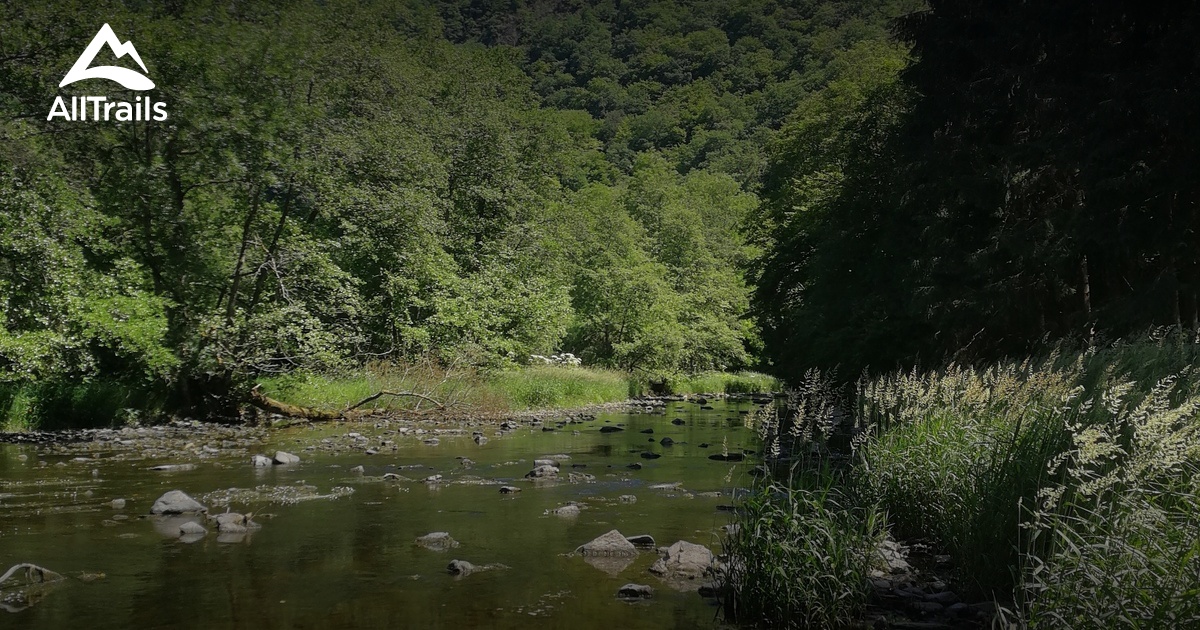 Best mountain biking trails in Bitburg | AllTrails