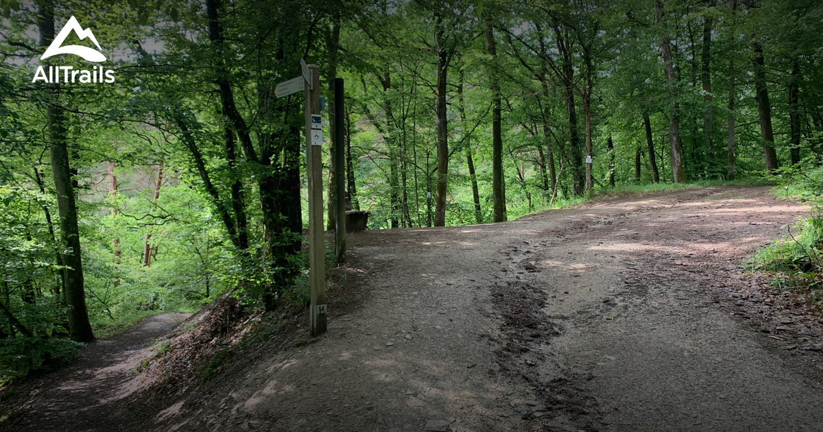 Best hikes and trails in Blankenrath | AllTrails