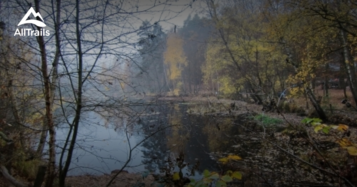 De beste bosroutes in Bobenheim am Berg | AllTrails