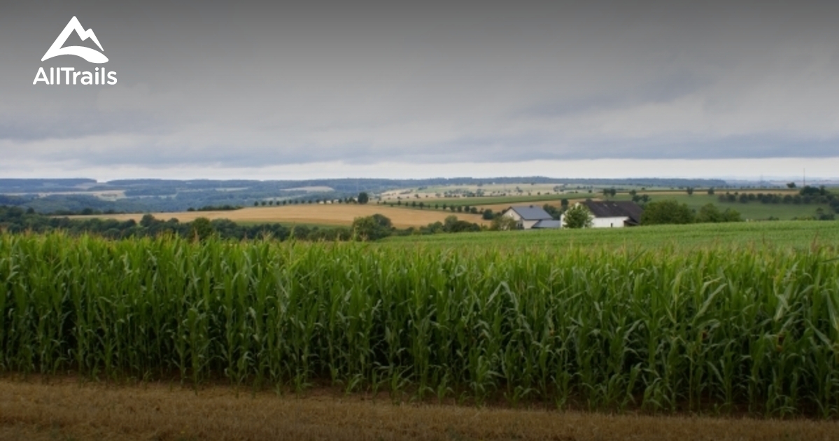 Best hikes and trails in Bruch | AllTrails