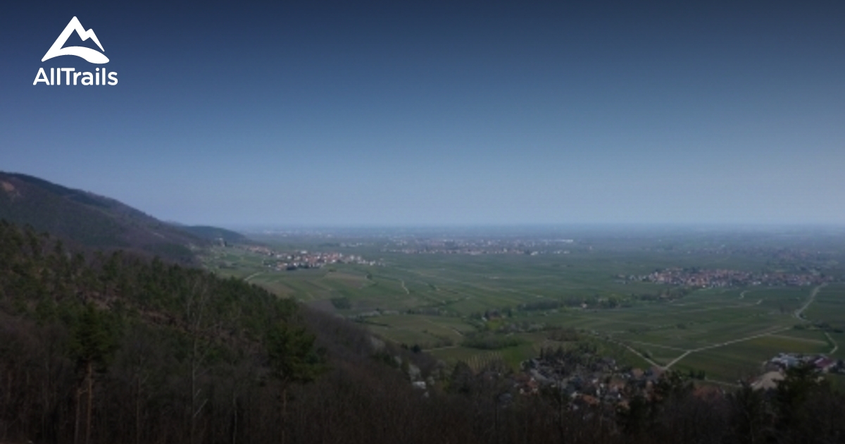 Best hikes and trails in Burrweiler | AllTrails