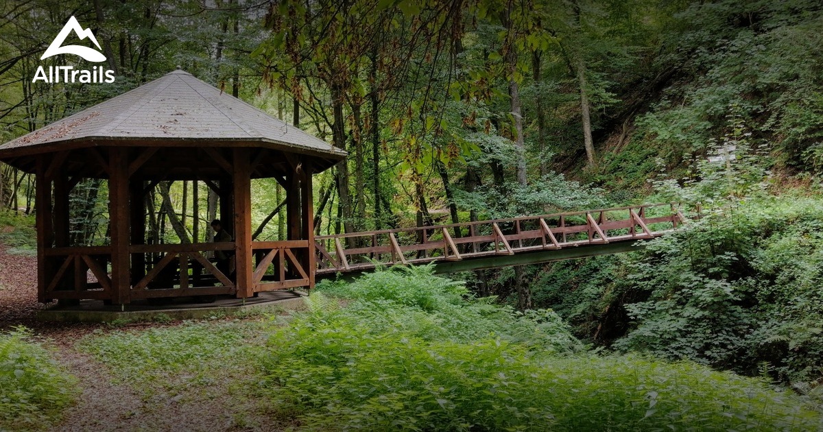 Best waterfall trails in Cochem | AllTrails