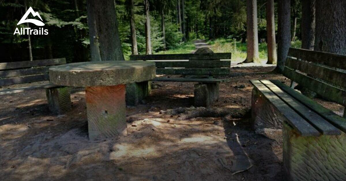 10 Best Historic Site Trails in Elmstein | AllTrails