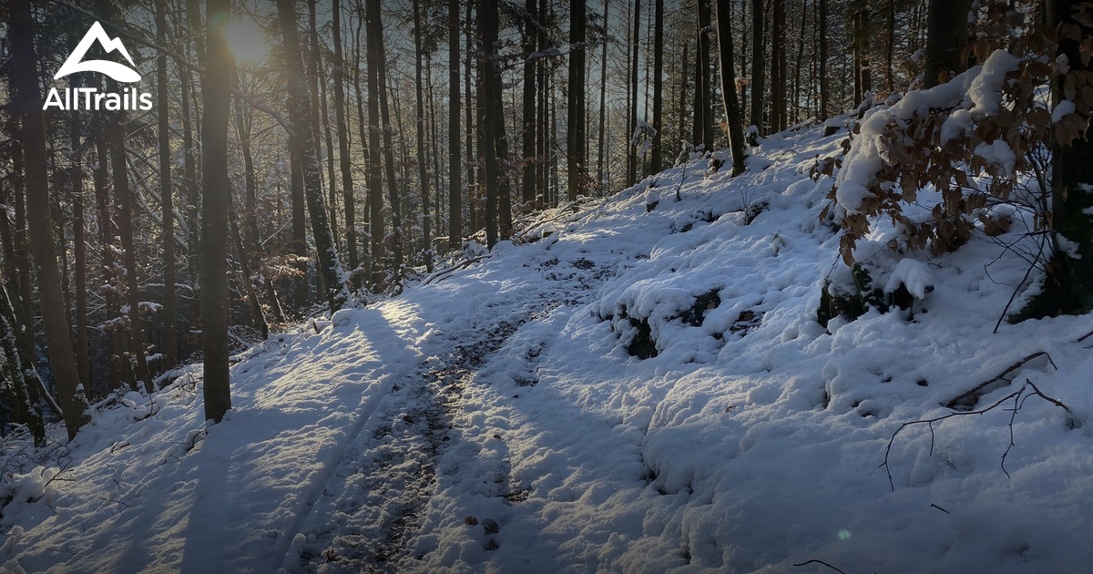 Best hikes and trails in Geiselberg | AllTrails