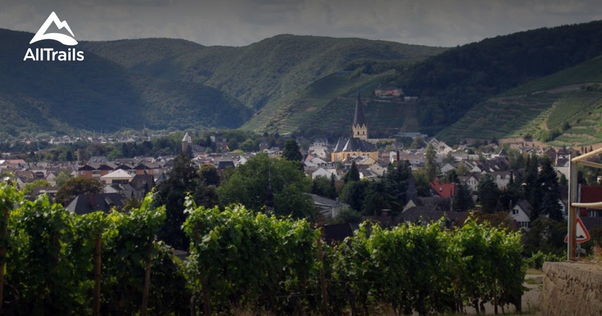 Best hikes and trails in Grafschaft | AllTrails