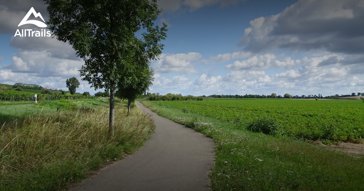 Los mejores senderos con río en Guntersblum | AllTrails