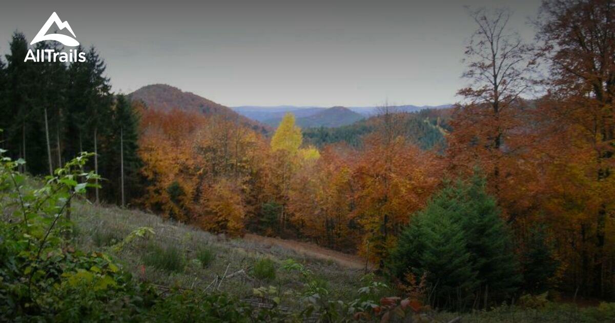 Best Camping Trails in Hauenstein | AllTrails