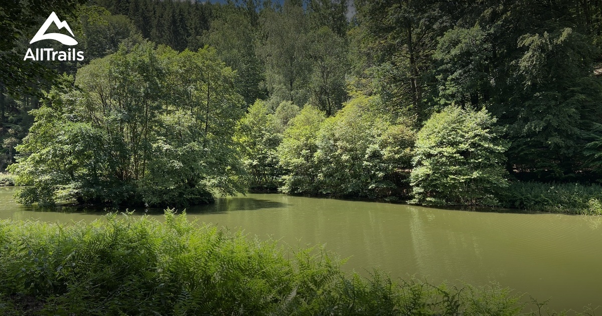 Best hikes and trails in Herschberg | AllTrails