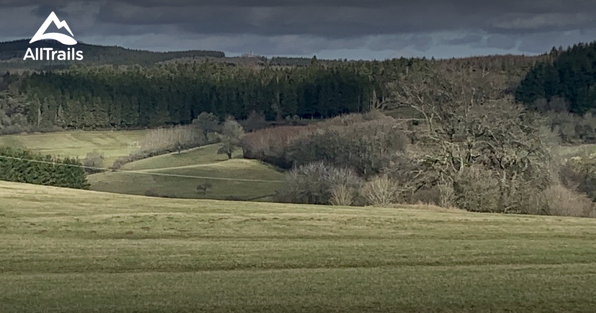 Best forest trails in Kelberg | AllTrails