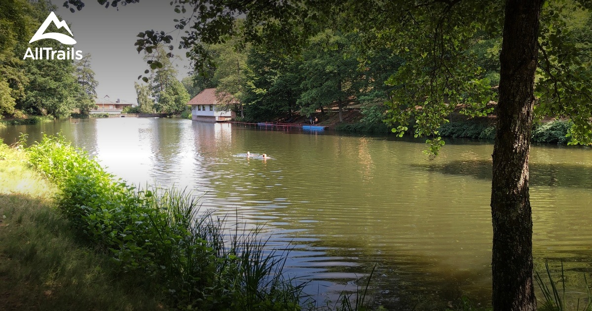 Best hikes and trails in Landstuhl | AllTrails