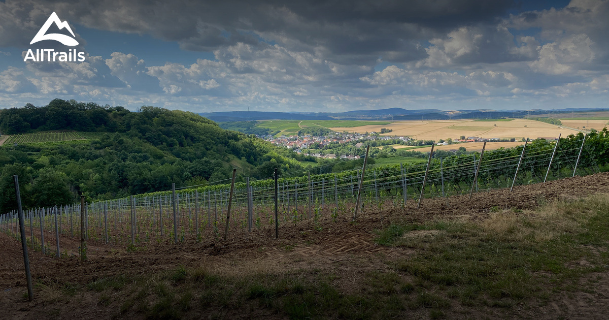 Best hikes and trails in Langenlonsheim | AllTrails