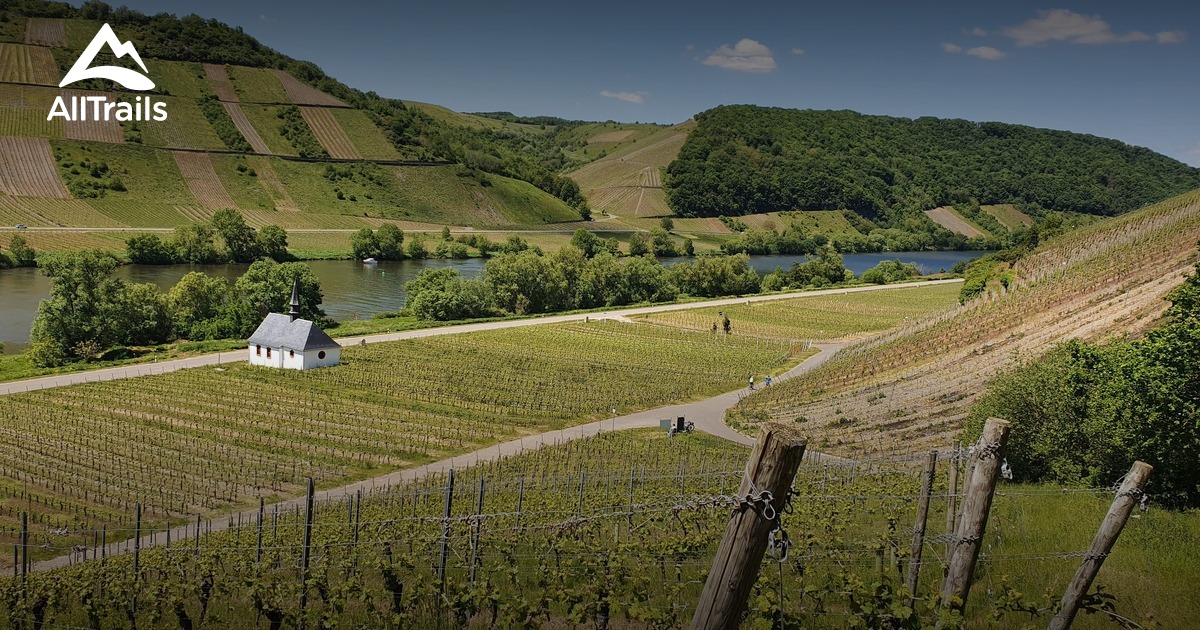 Best Camping Trails in Leiwen | AllTrails