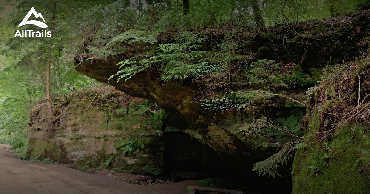 2023 Best Trails in Maßweiler | AllTrails