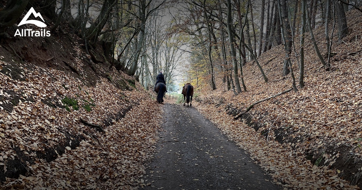 Best hikes and trails in Mehlbach | AllTrails