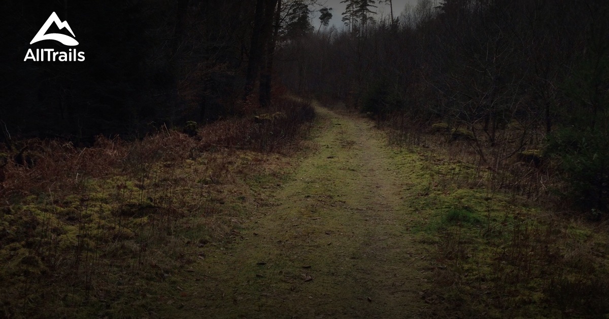 Münchweiler an der Rodalb: Die schönsten Routen zum Wandern | AllTrails
