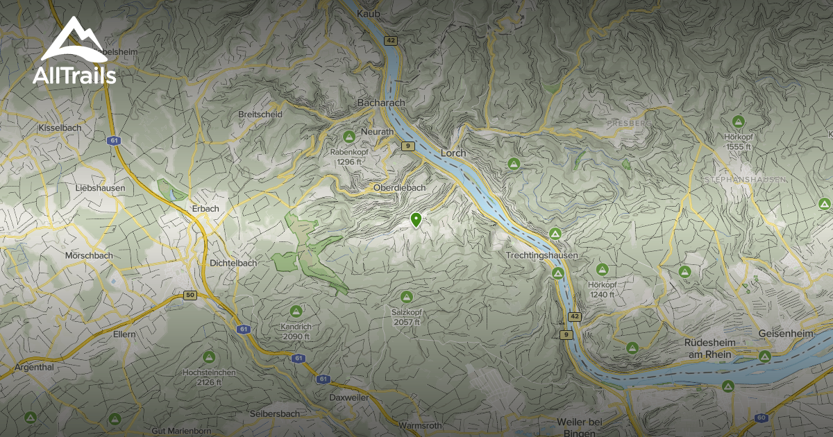 Best Hikes and Trails in Oberheimbach | AllTrails
