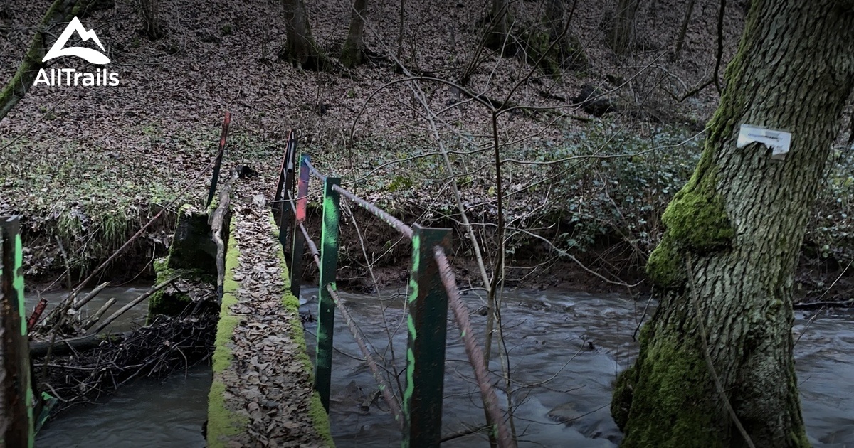 Best hikes and trails in Oberweiler im Tal | AllTrails