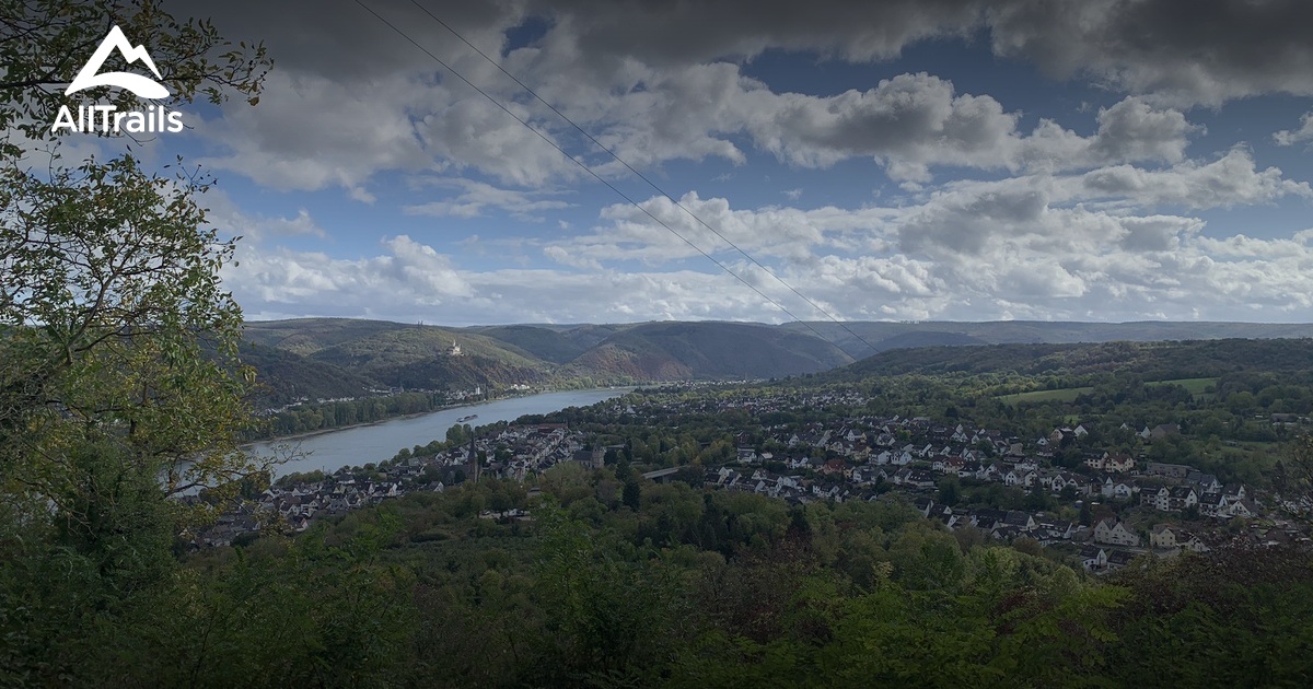 Best forest trails in Rhens | AllTrails