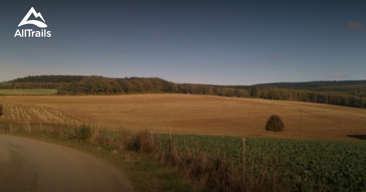 Best wildflower trails in Schillingen | AllTrails