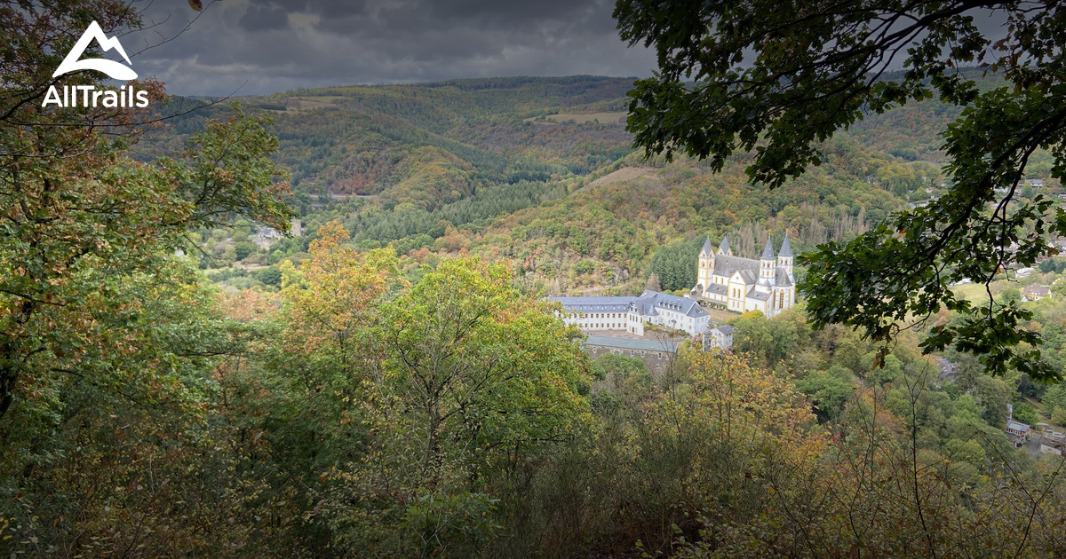 2023 Best Wild Flowers Trails in Seelbach | AllTrails