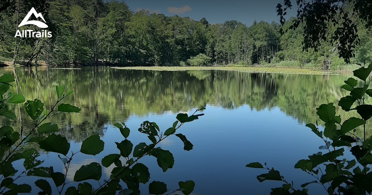 Best hikes and trails in Sippersfeld | AllTrails