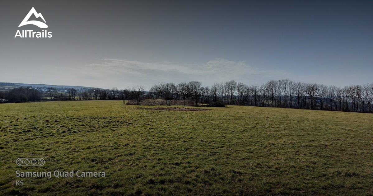 Best wildflower trails in Thomm | AllTrails