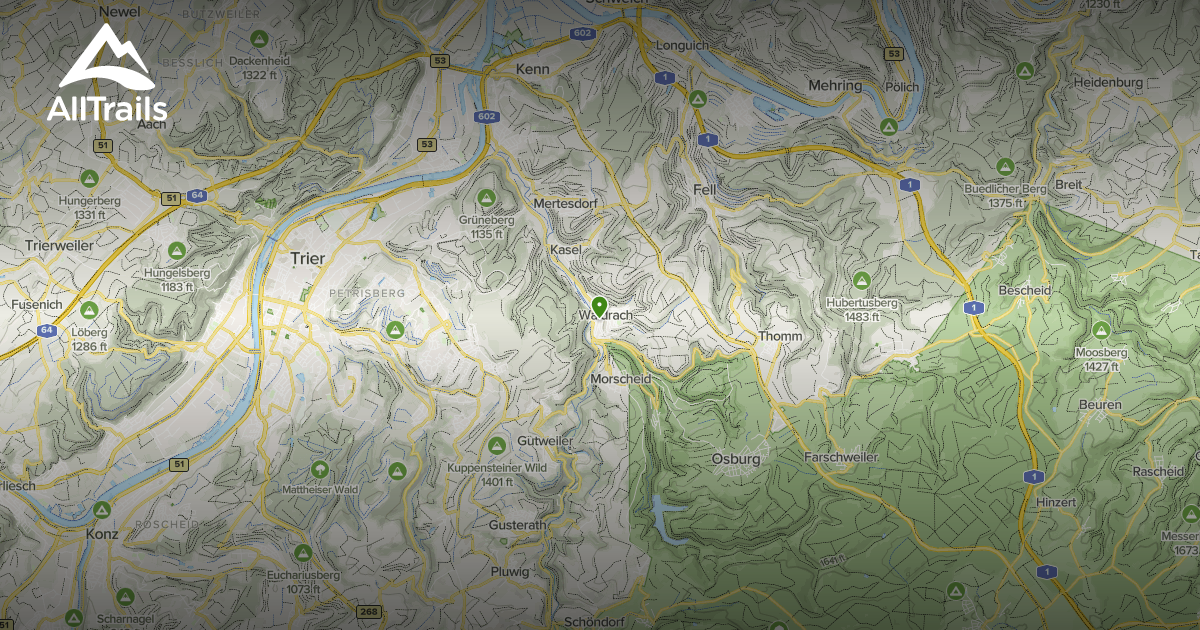 Best hikes and trails in Waldrach | AllTrails