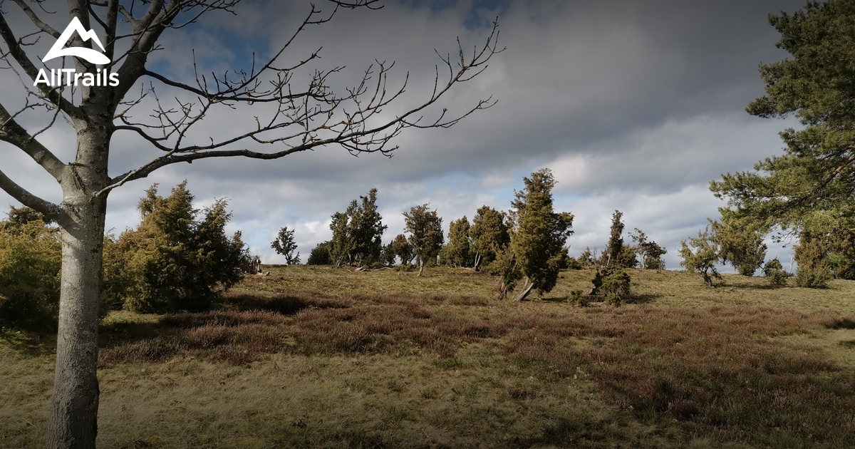 Best Hikes and Trails in Weibern | AllTrails