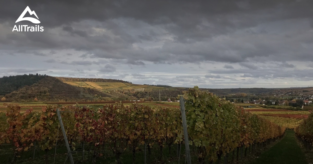 Best hikes and trails in Windesheim | AllTrails