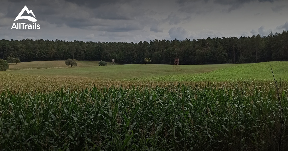 Best partially-paved trails in Zemmer | AllTrails