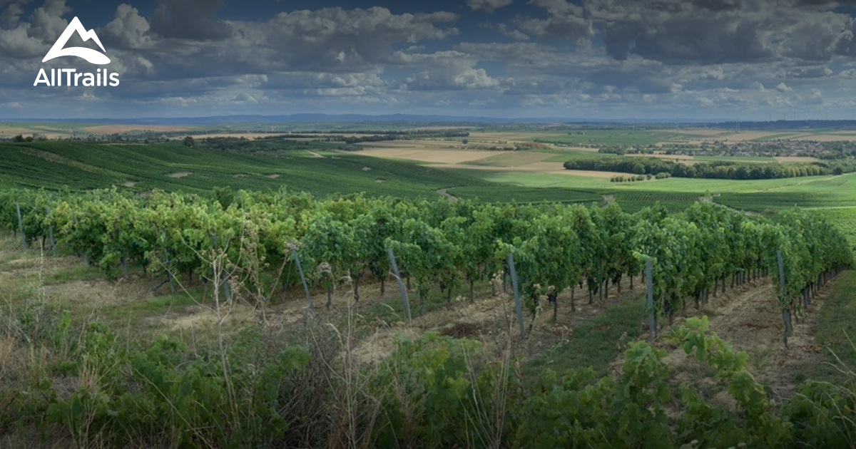 Best hikes and trails in Zornheim | AllTrails