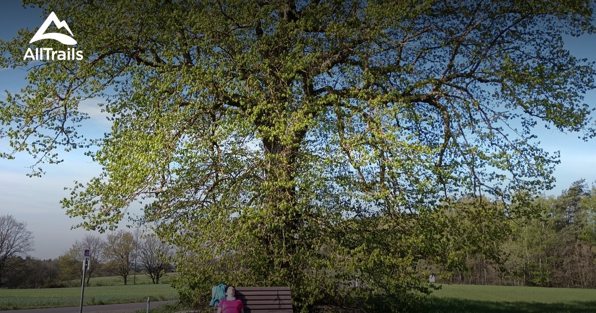 Best hikes and trails in Beckingen | AllTrails