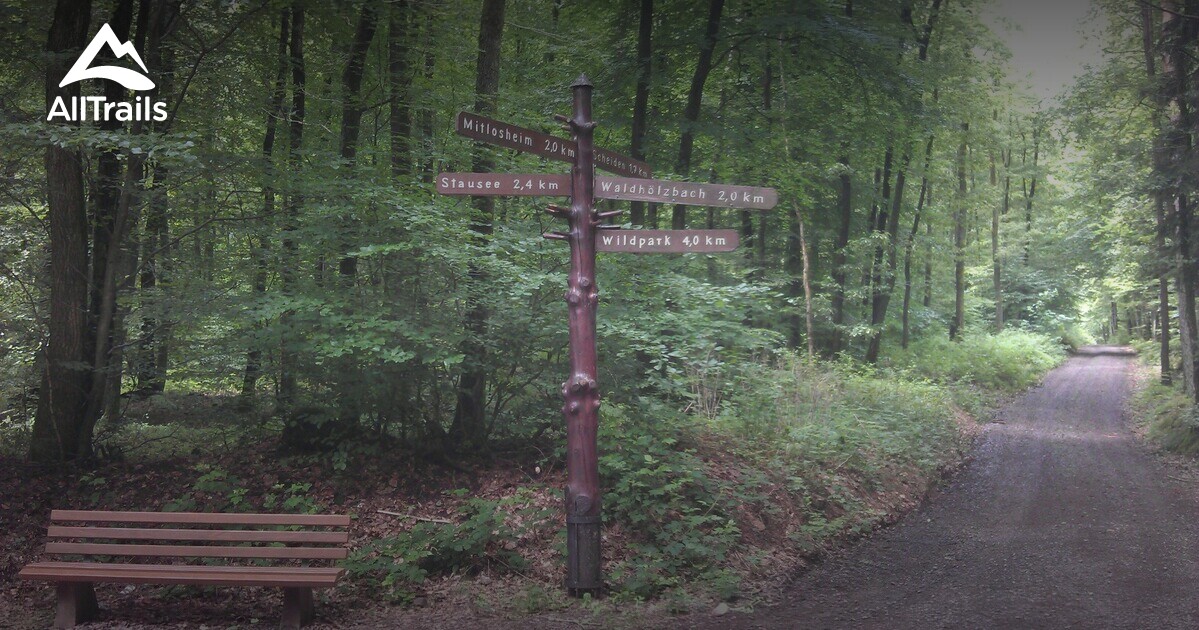 Die 10 Besten Seewanderwege in Losheim am See | AllTrails