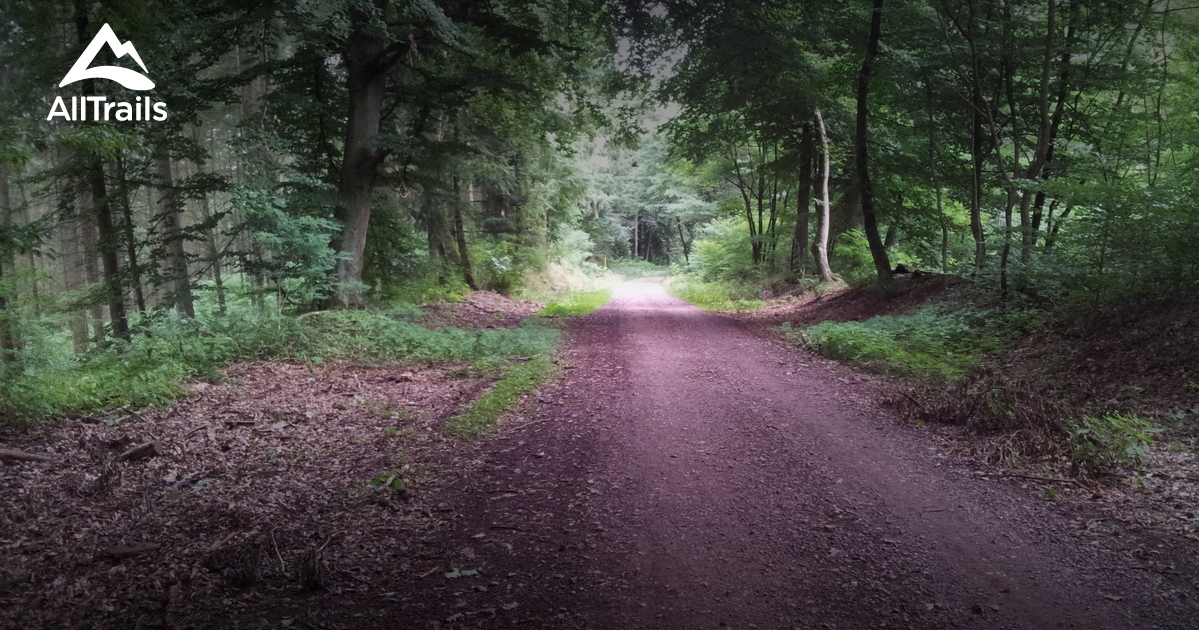 Best river trails in Merzig | AllTrails