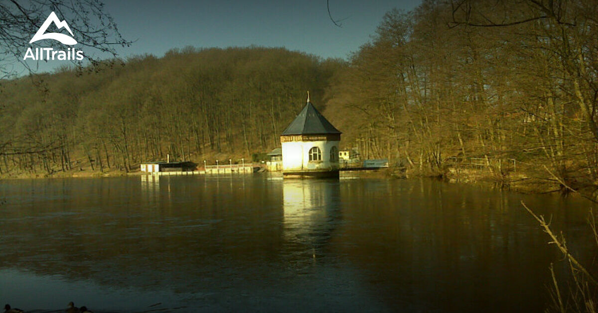 Schiffweiler: Die schönsten Routen zum Wandern | AllTrails
