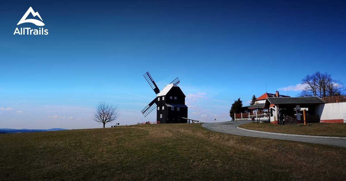 Best wildflower trails in Löbau | AllTrails