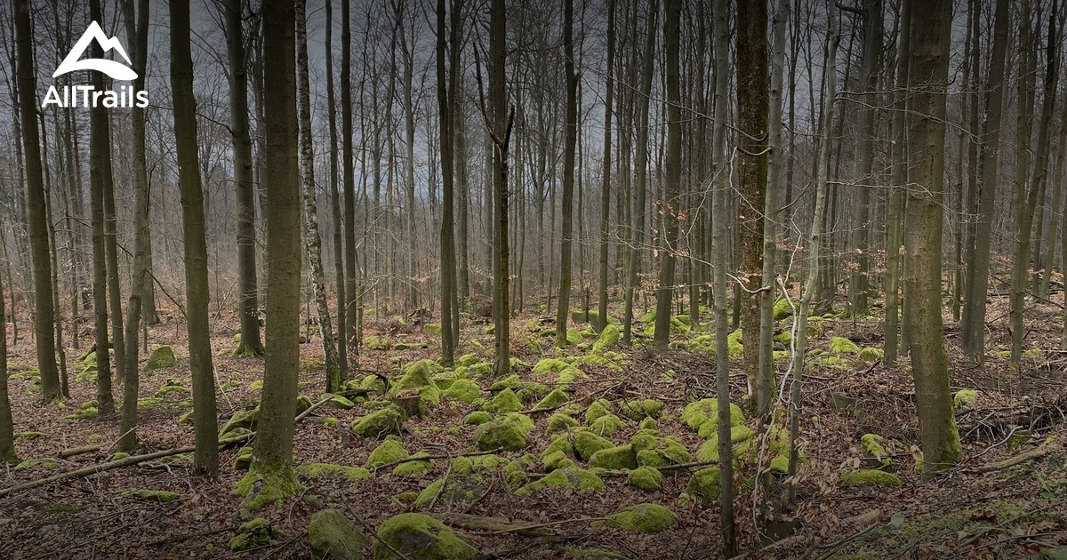 Best historic site trails in Neukirch/Lausitz | AllTrails