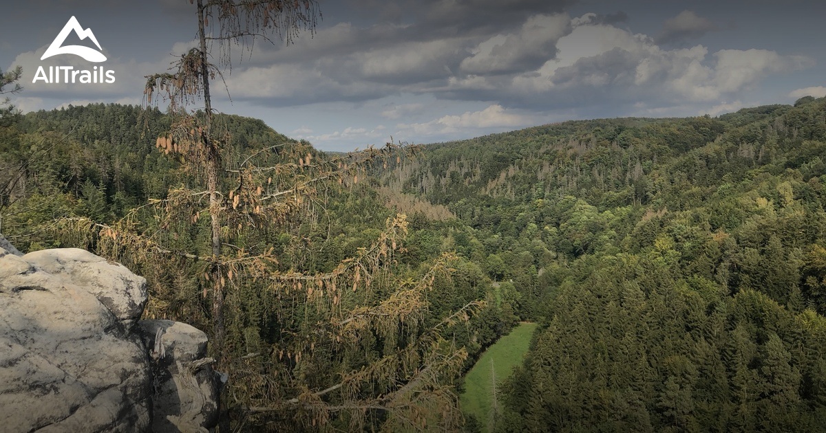 Radeberg: Die besten Routen entlang Flüssen in 2023 | AllTrails