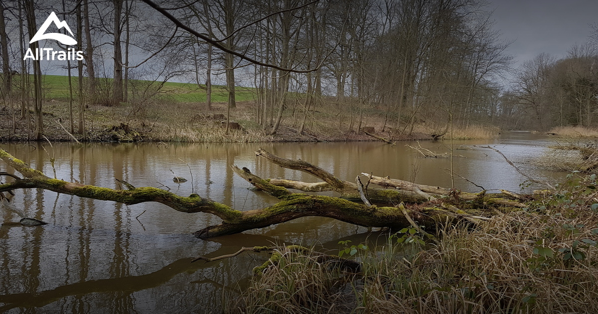 Best trails in Altenholz, Schleswig-Holstein | AllTrails