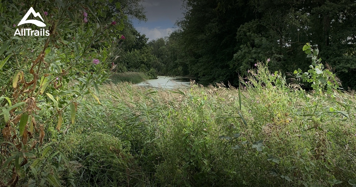 Altenholz: Die schönsten Routen zum Wandern | AllTrails