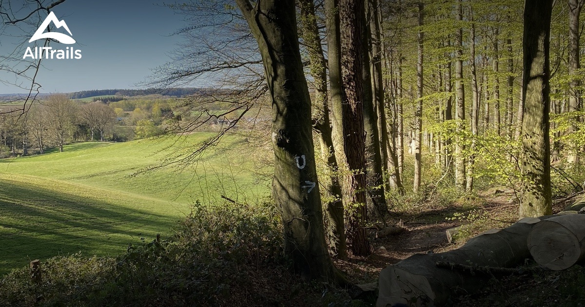 Best hikes and trails in Brekendorf | AllTrails