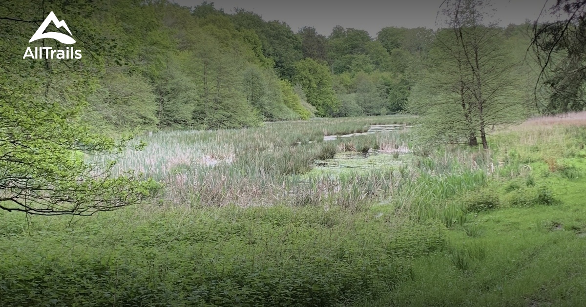 Best hikes and trails in Felde | AllTrails